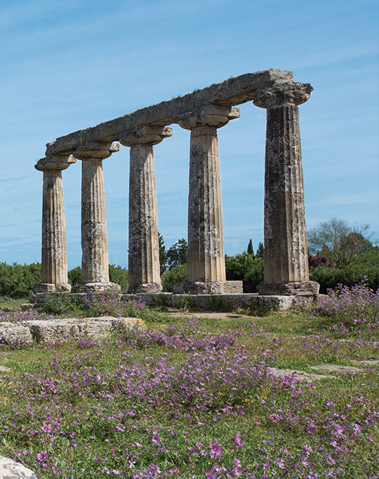 Metaponto: Témoignage de la Grèce antique| Borgo San Gaetano